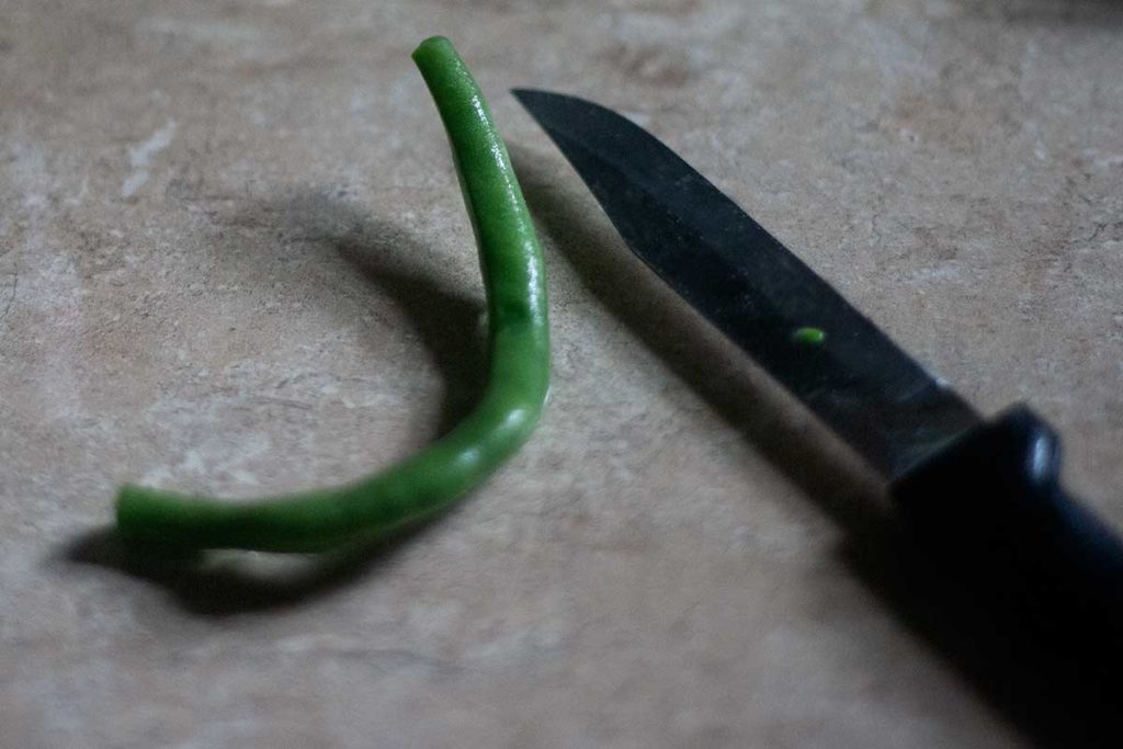 Canning Green Beans using the Cold Pack Method + 4 Tips For Success!