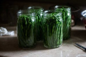 Canning Green Beans using the Cold Pack Method + 4 Tips For Success!