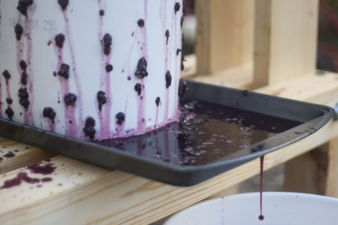DIY Fruit Press: Free Fruit Press Plans | Henstooth Homestead